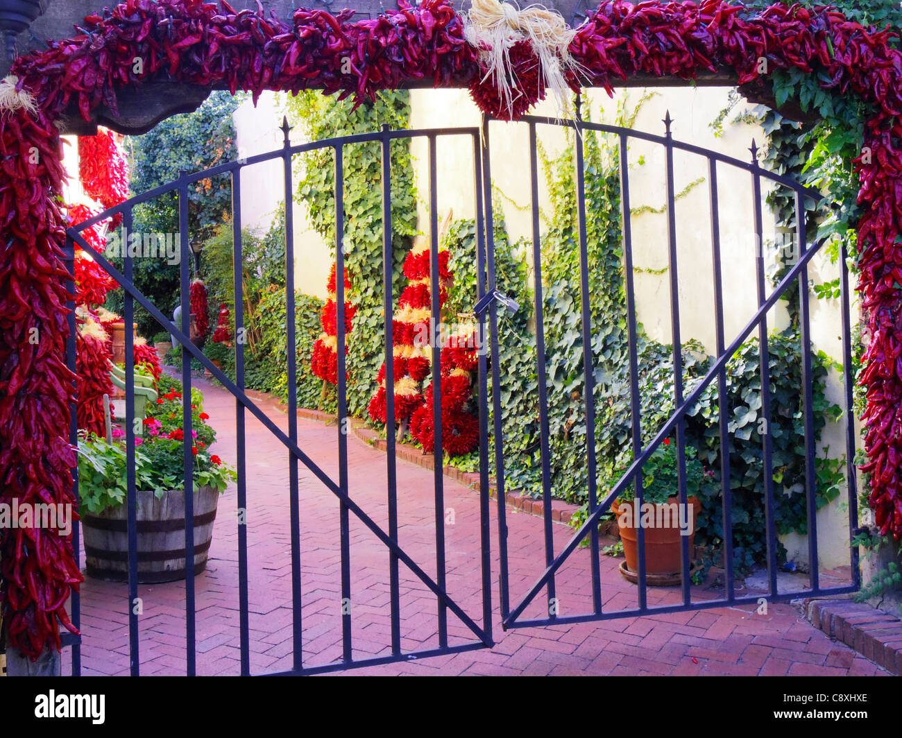 Chilis new hi-res stock photography and images - Alamy