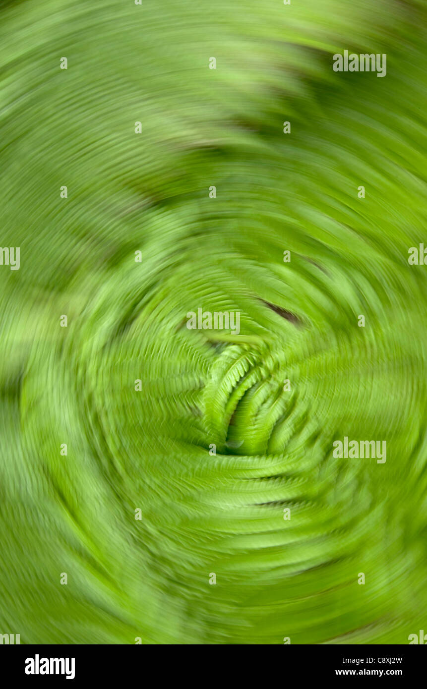 Green island national park hi-res stock photography and images - Alamy