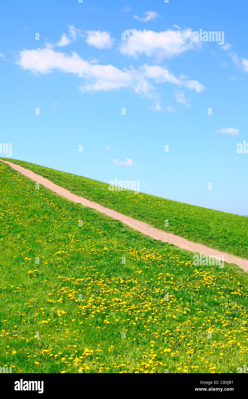 path from spring to summer Stock Photo - Alamy
