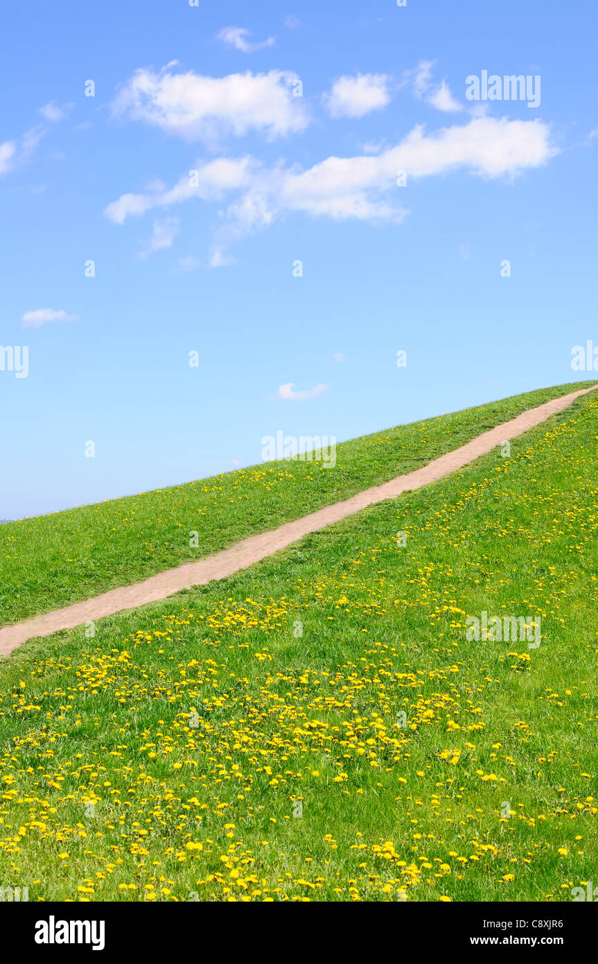 path from spring to summer Stock Photo - Alamy