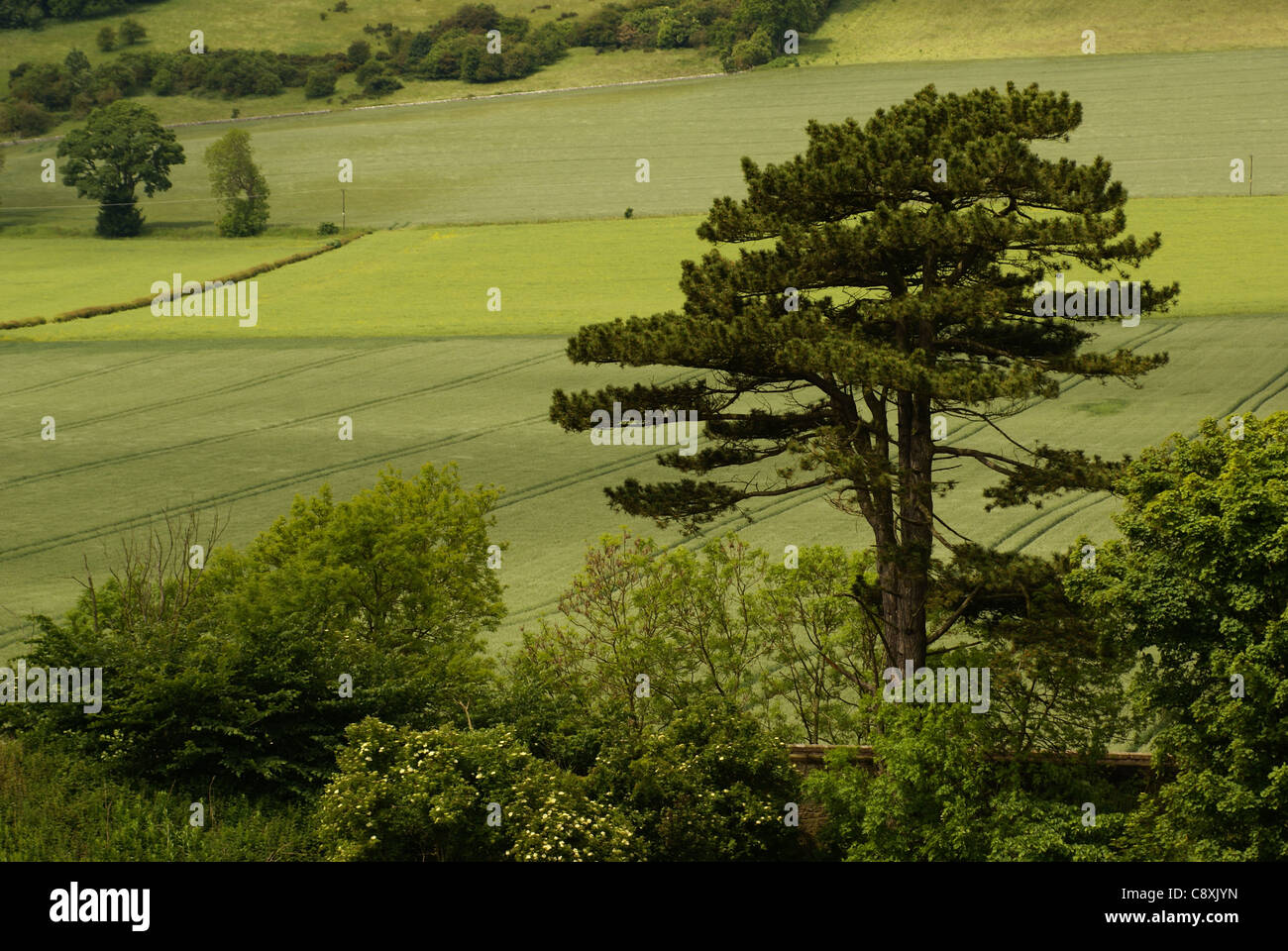 Fife, Scotland, UK Stock Photo - Alamy