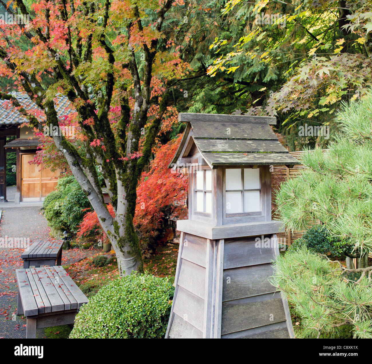 Japanese Garden Wooden Park Benches in the Fall Stock Photo - Alamy