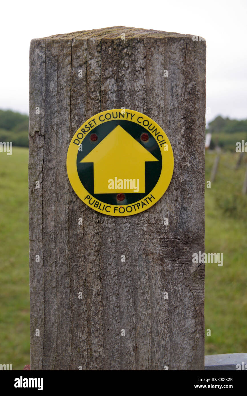 Dorset Council High Resolution Stock Photography and Images - Alamy