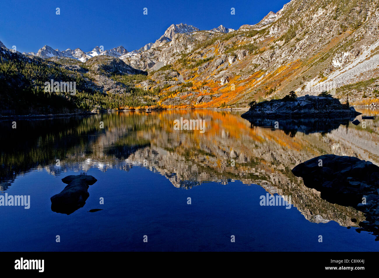 Fall foliage at creek eastern sierra hi-res stock photography and ...