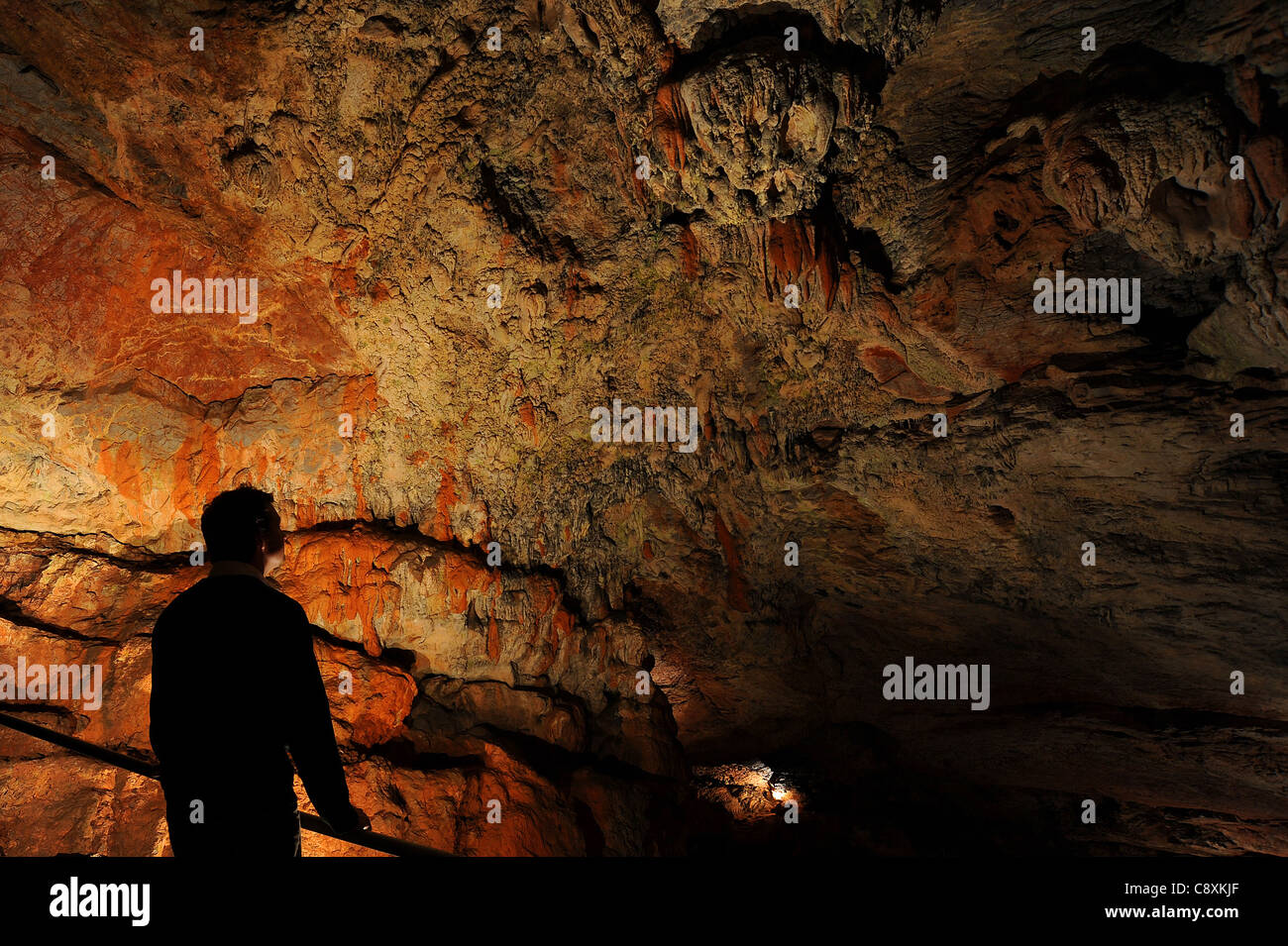 Kents Cavern caves in Torquay, England, United kingdom Stock Photo - Alamy