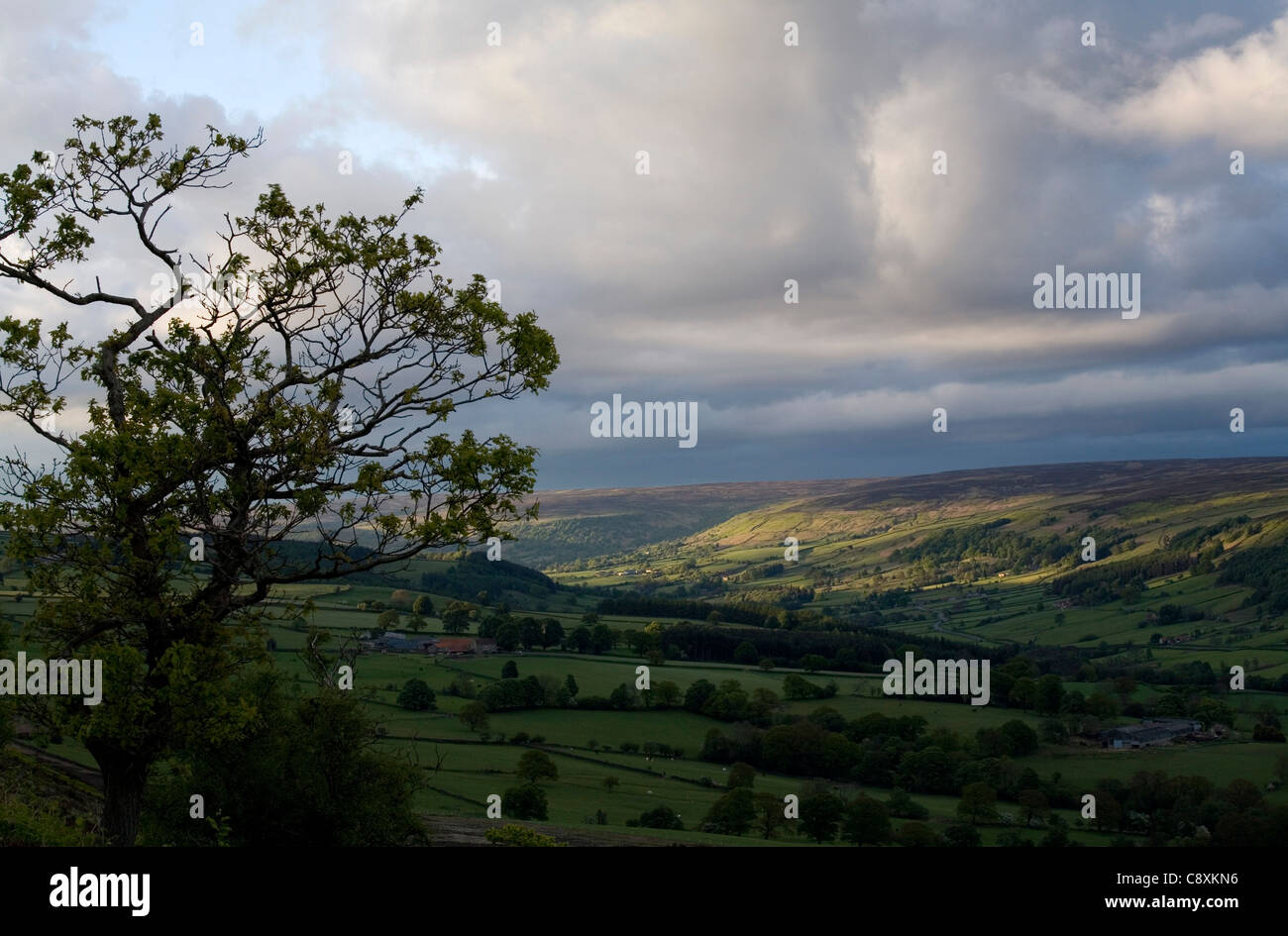 Bilsdale From Easterside Hill North Yorkshire Moors England Stock Photo ...