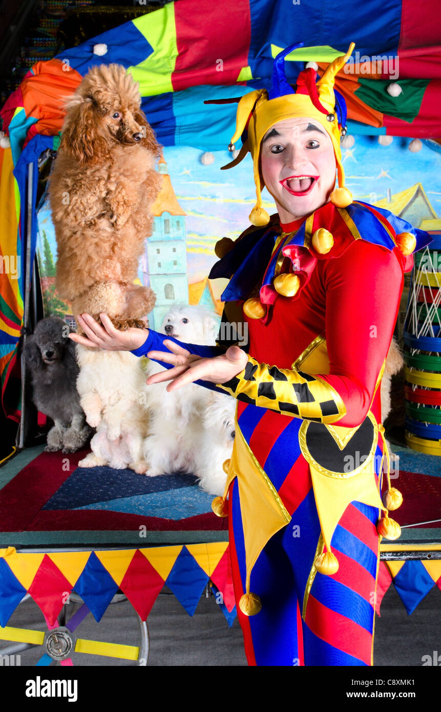 Wide smiling harlequin clown in hat is holding red poodle on his palm ...