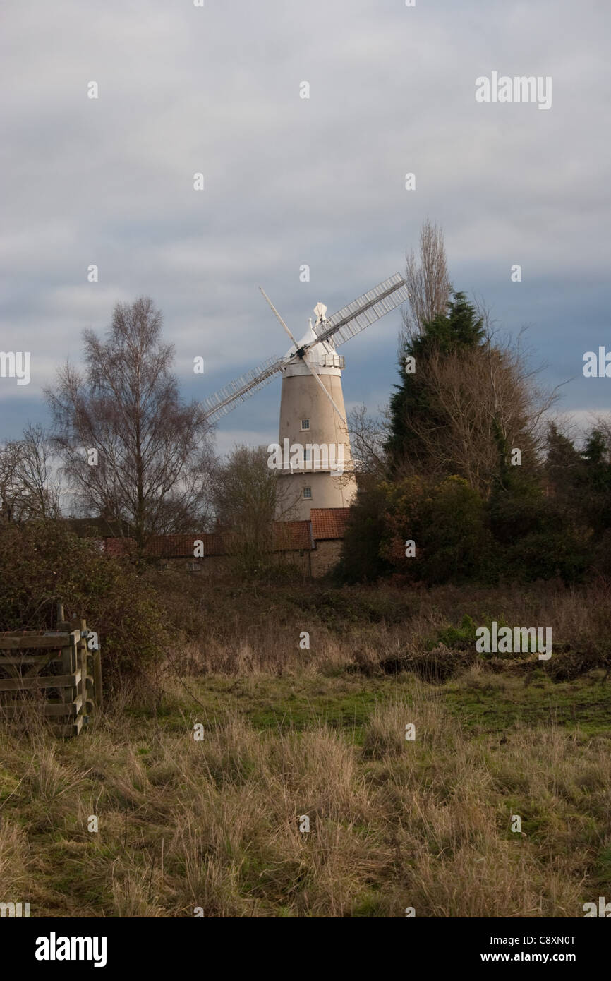 The old windmill on Sluice Common at Denver, Norfolk Stock Photo - Alamy