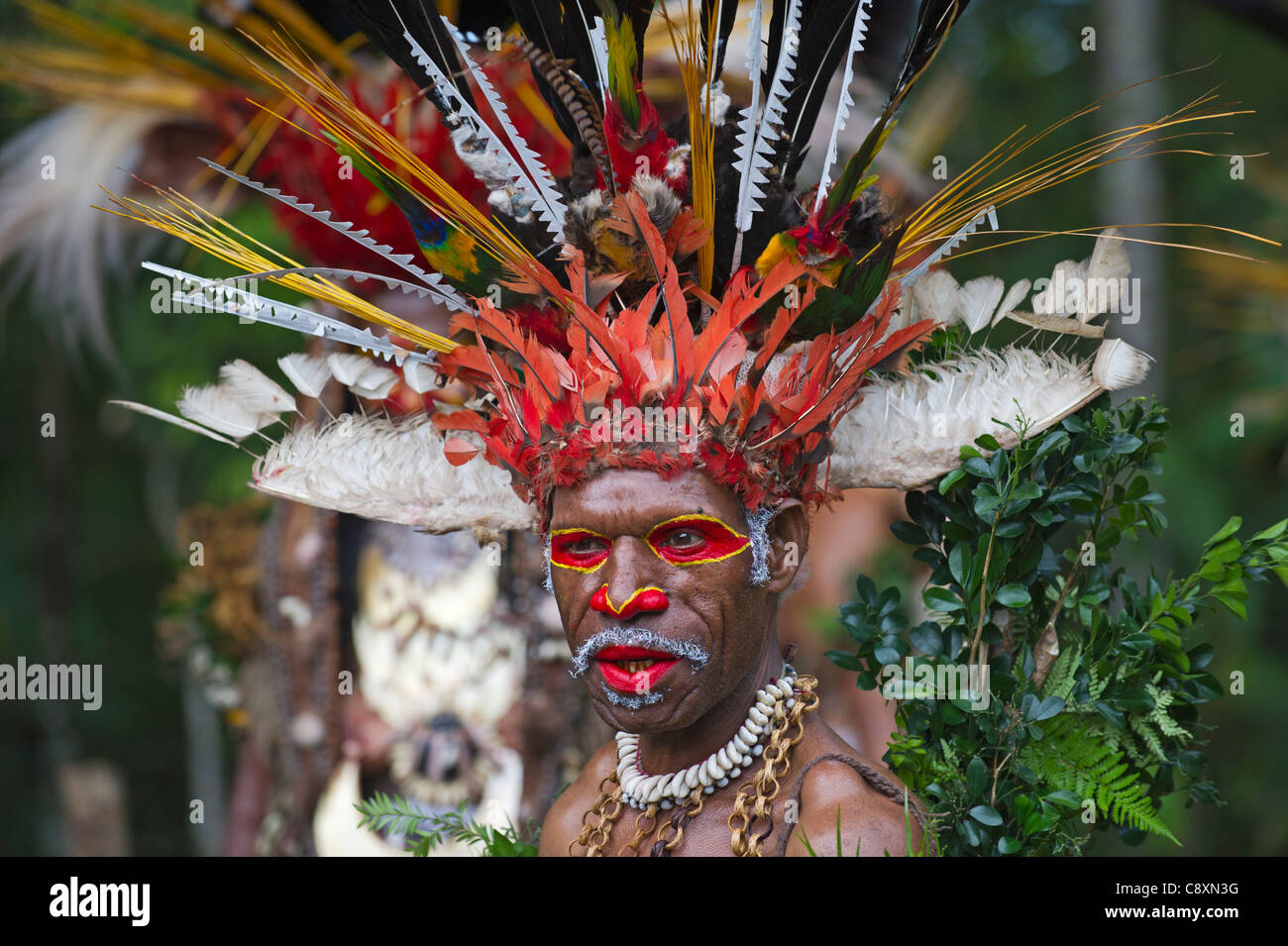 Papua new guinea tribe hi-res stock photography and images - Alamy