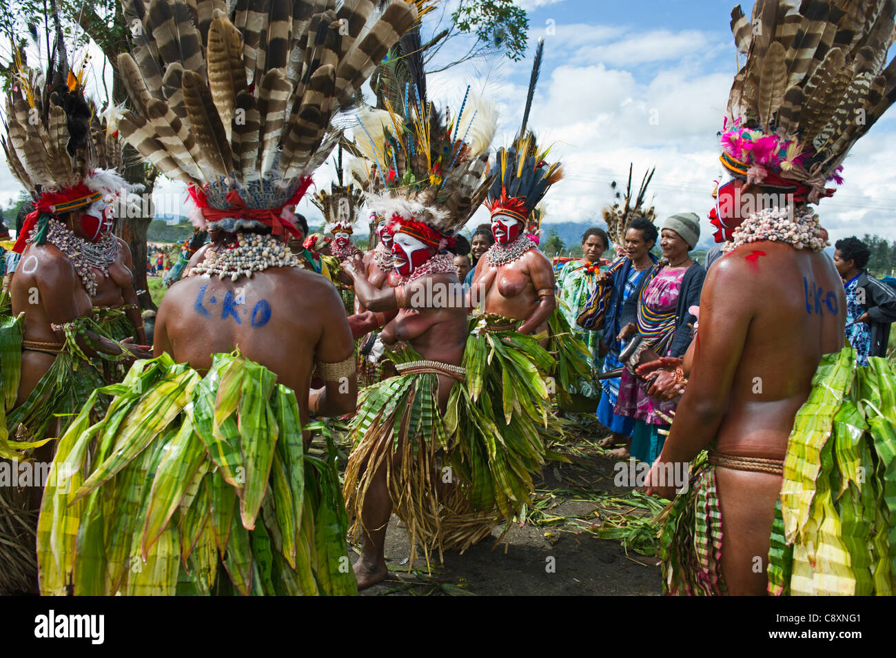Cultural group from Mt Hagen dancing at a Sing-sing - Mt Hagen Show in ...