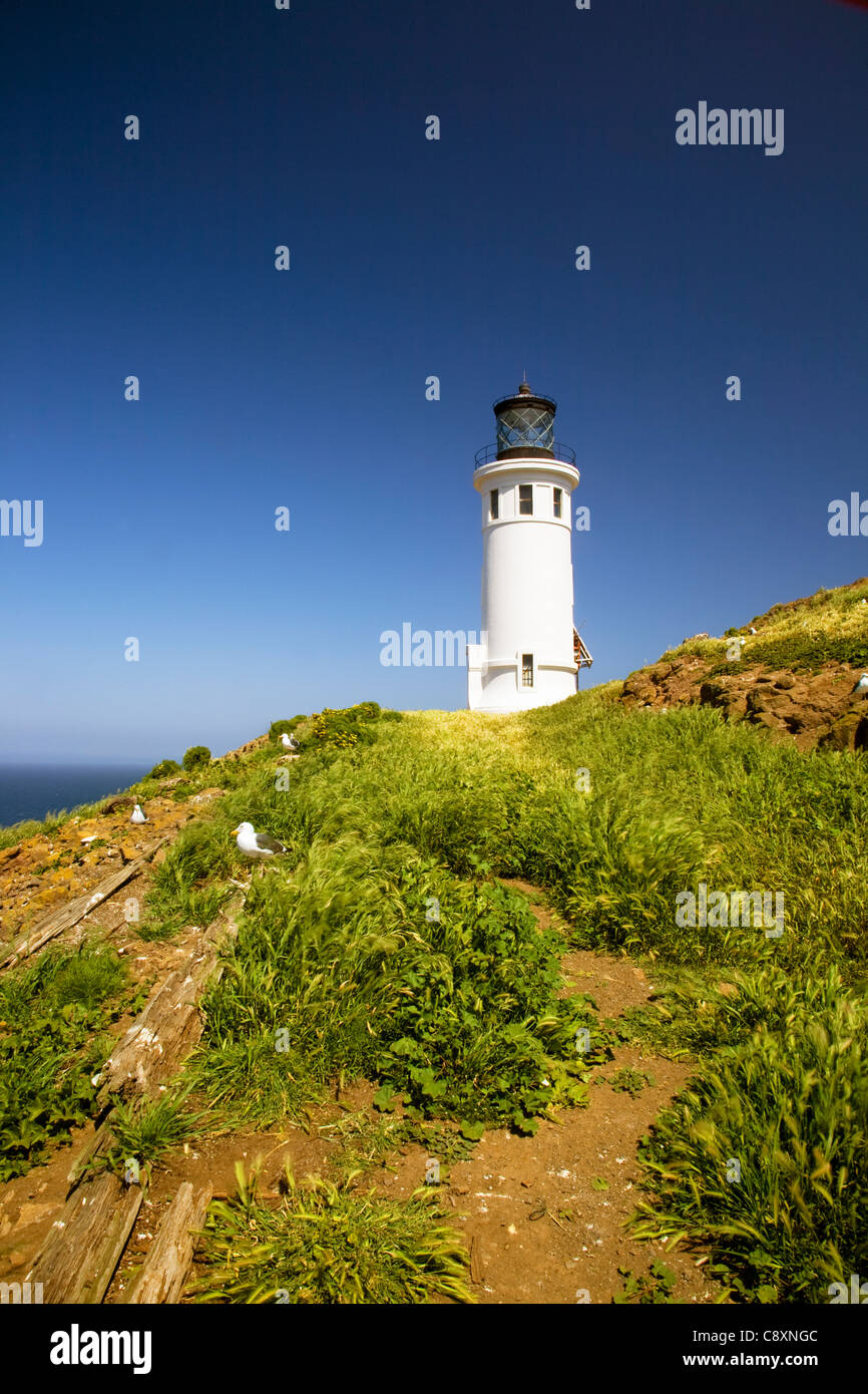 Anacapa island and lighthouse hi-res stock photography and images - Alamy