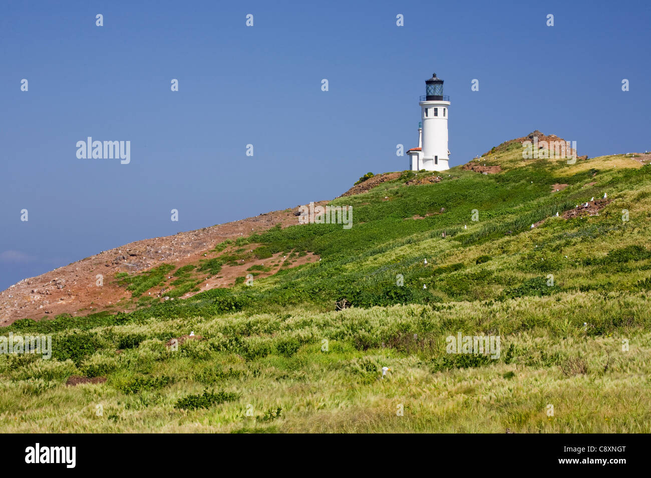 CALIFORNIA - East Anacapa Island Lighthouse in Channel Islands National ...