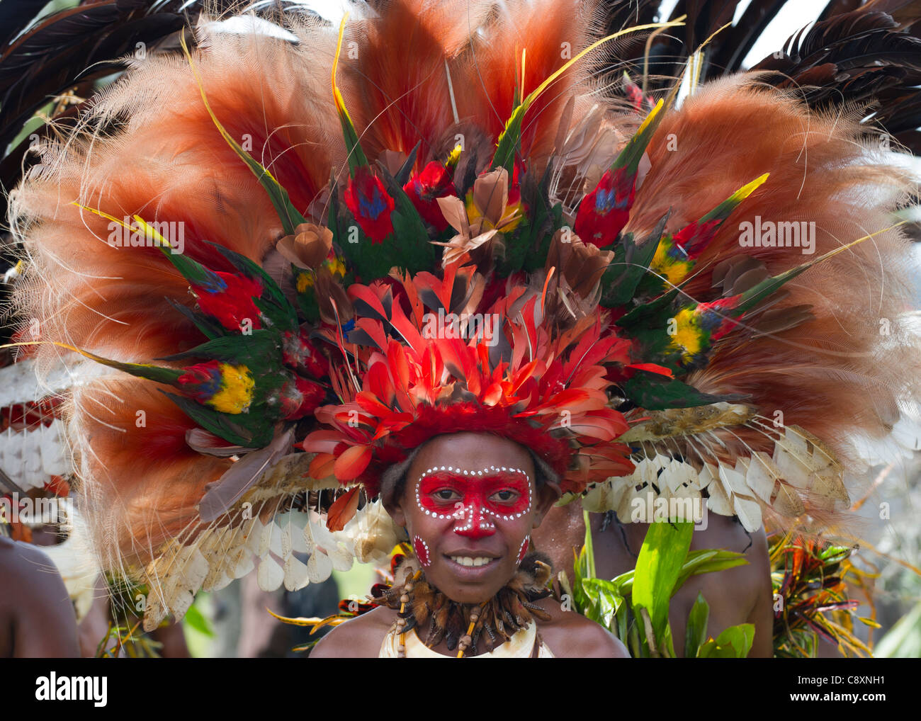 Performer from Western Highlands at Mt Hagen Show Papua New Guinea ...