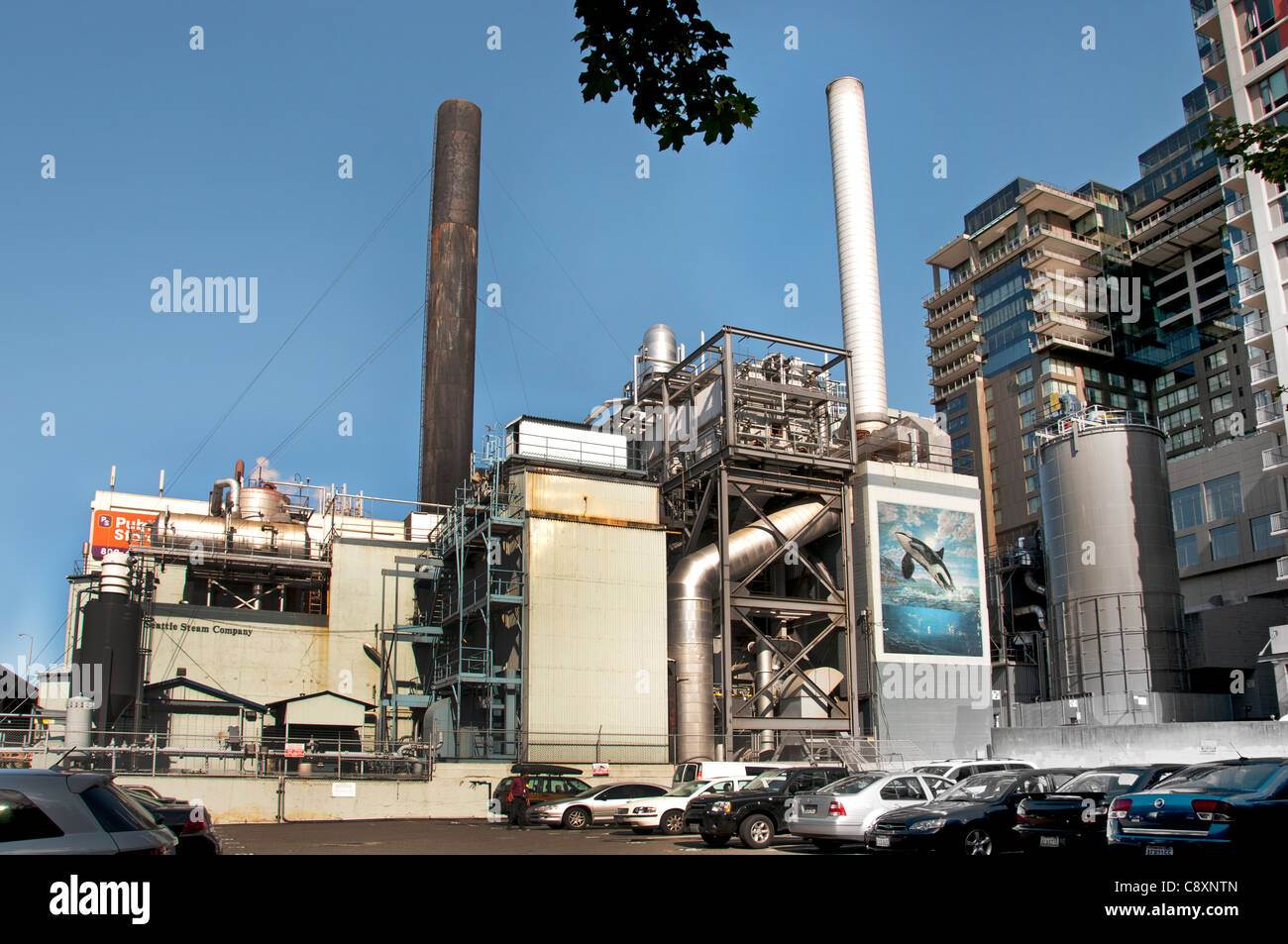 Seattle Steam Steam Company Washington State United States of America ...