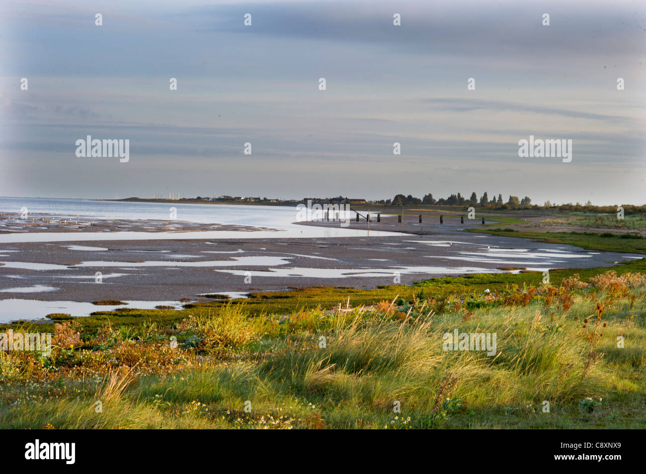 The Wash at Snettisham RSPB Reserve at low tide Norfolk late summer ...