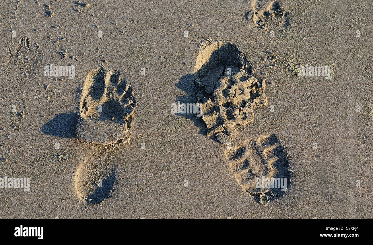 Boot footprint in sand hi-res stock photography and images - Alamy