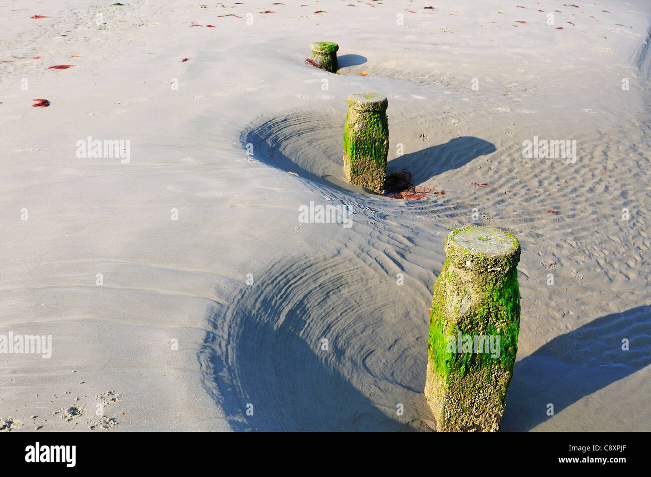 West Wittering beach sea defence groynes being threatened by the strong ...