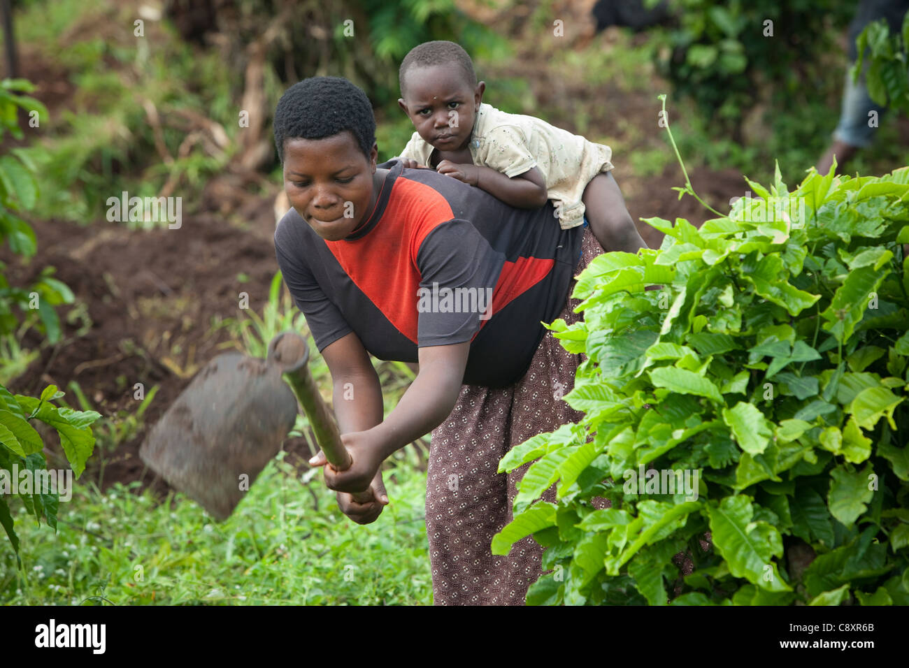 Farming with a hoe hi-res stock photography and images - Alamy