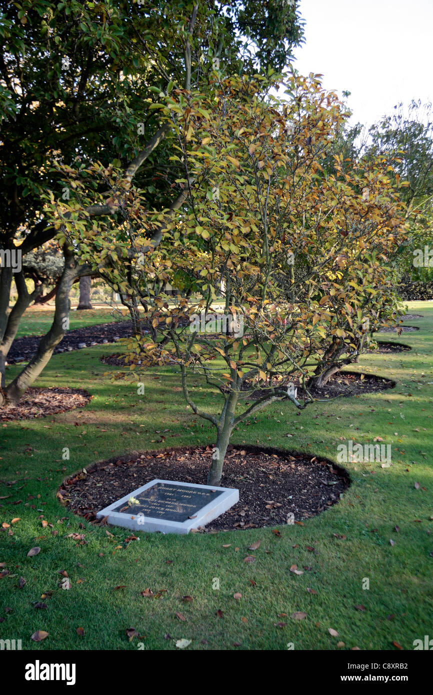 Memorial tree & plaque to Bobby Moore, the England captain in the 1966 ...