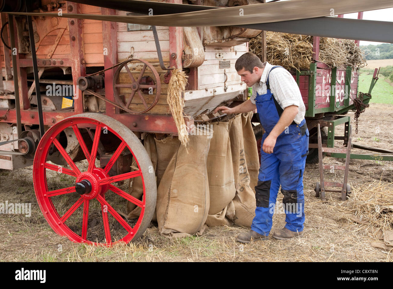 Demonstatration of a vintage threshing machine at a steam engine ...