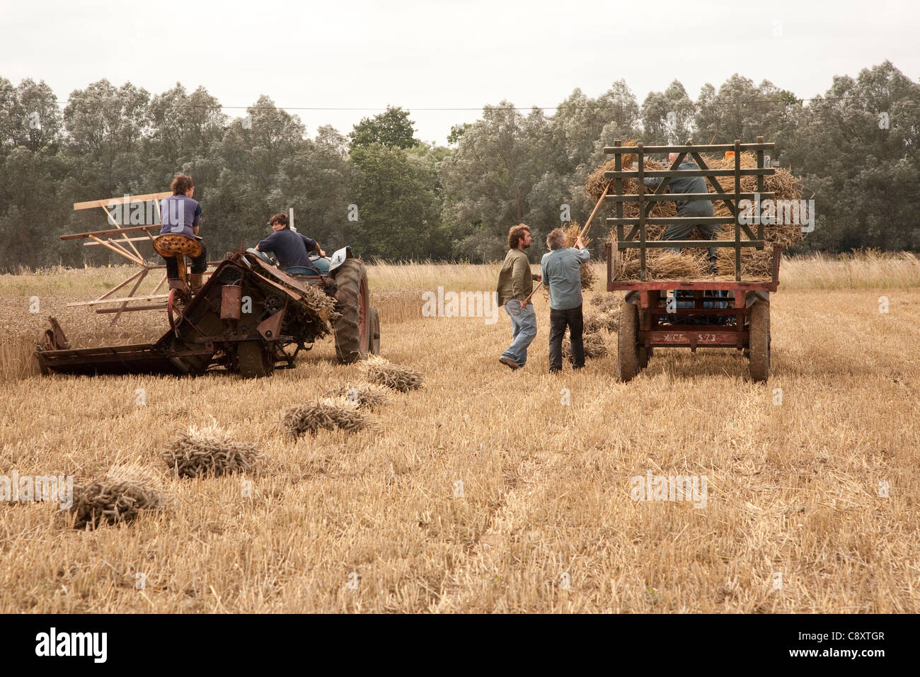 Antique farming methods being demonstrated Stock Photo - Alamy