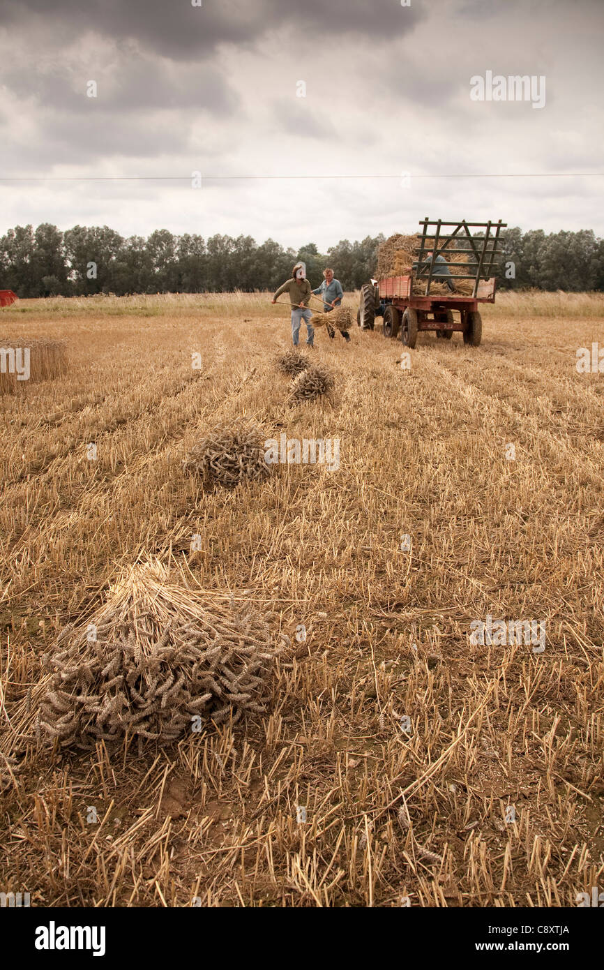 Traditional farming methods hi-res stock photography and images - Alamy Traditional farming methods hi-res stock photography and images - Alamy