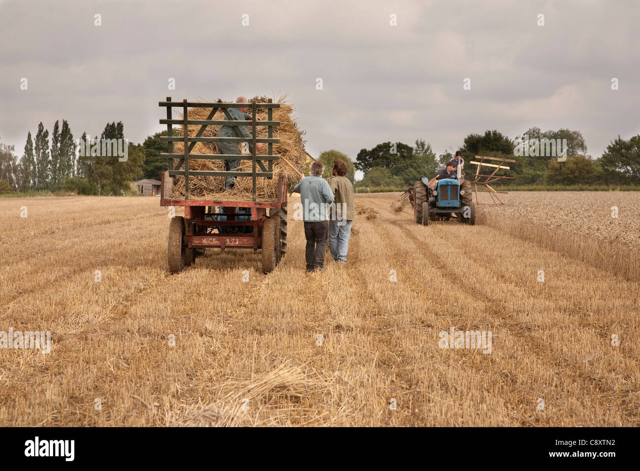 Traditional Farming Methods Stock Photos & Traditional Farming Methods ...