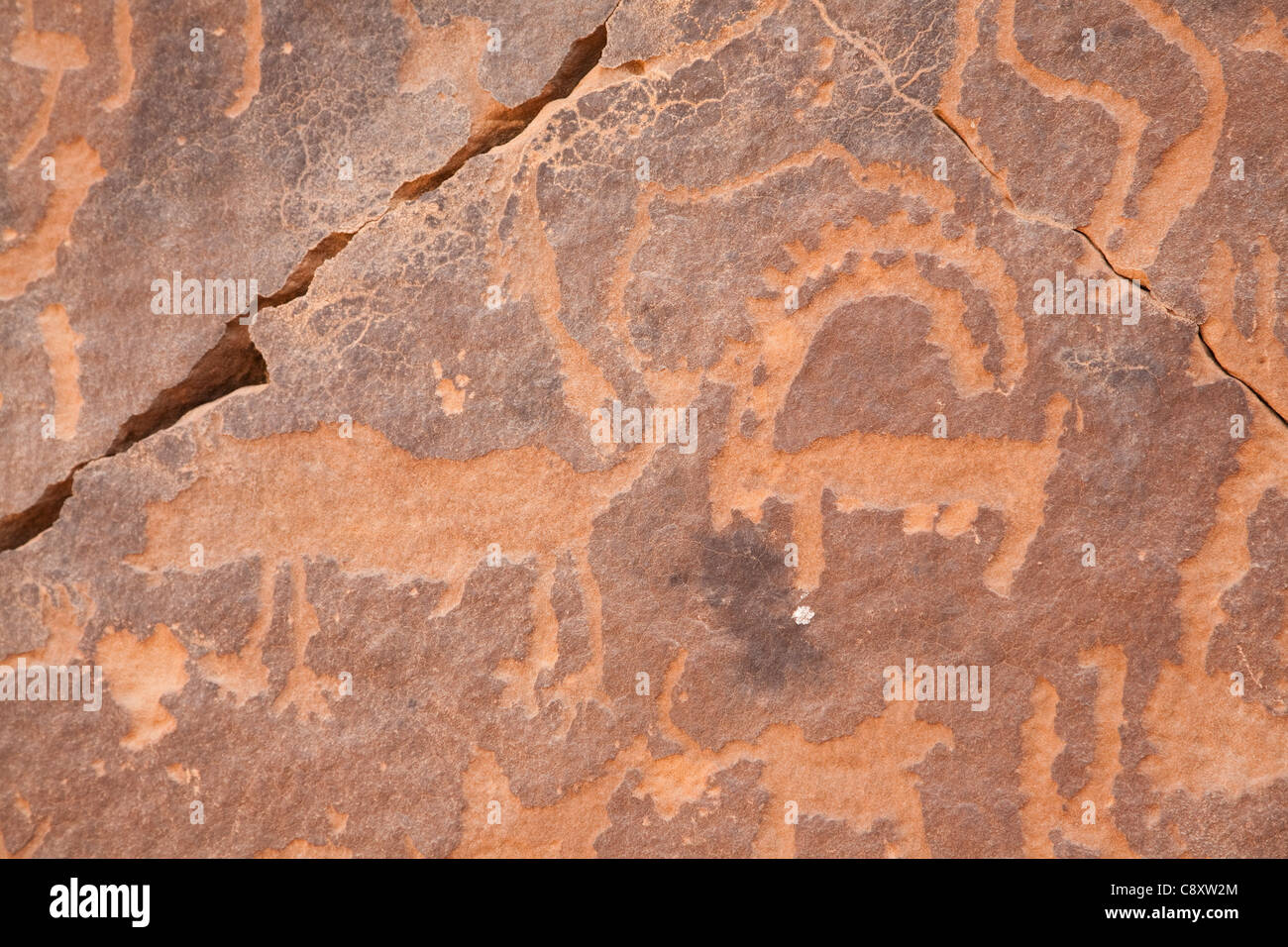 Ancient petroglyphs on a rock known as Graffiti Rock at Musayqirah ...