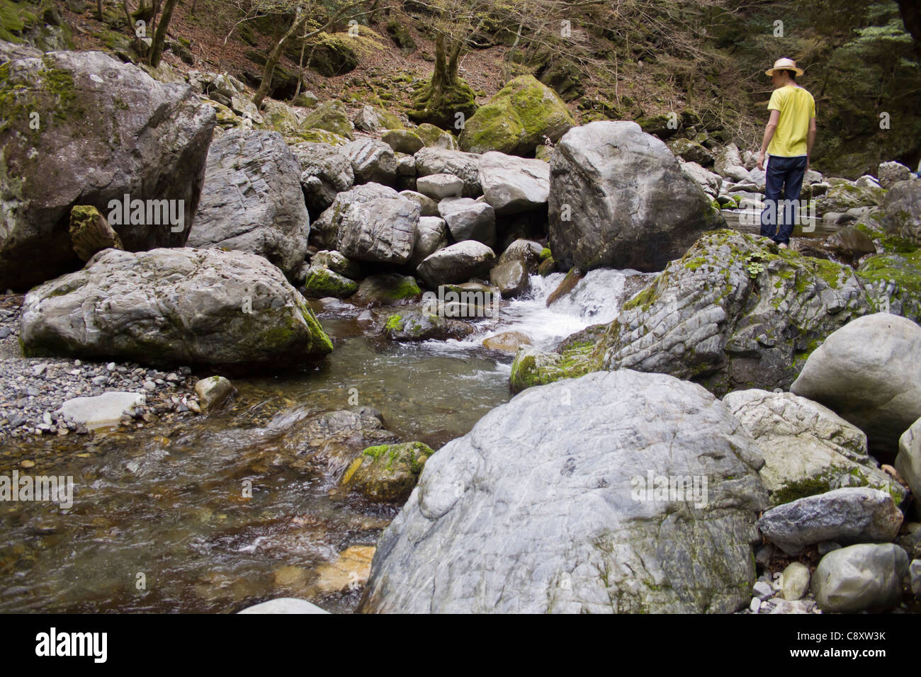 Forest walk through the Akame 48 waterfalls in Japan Stock Photo - Alamy