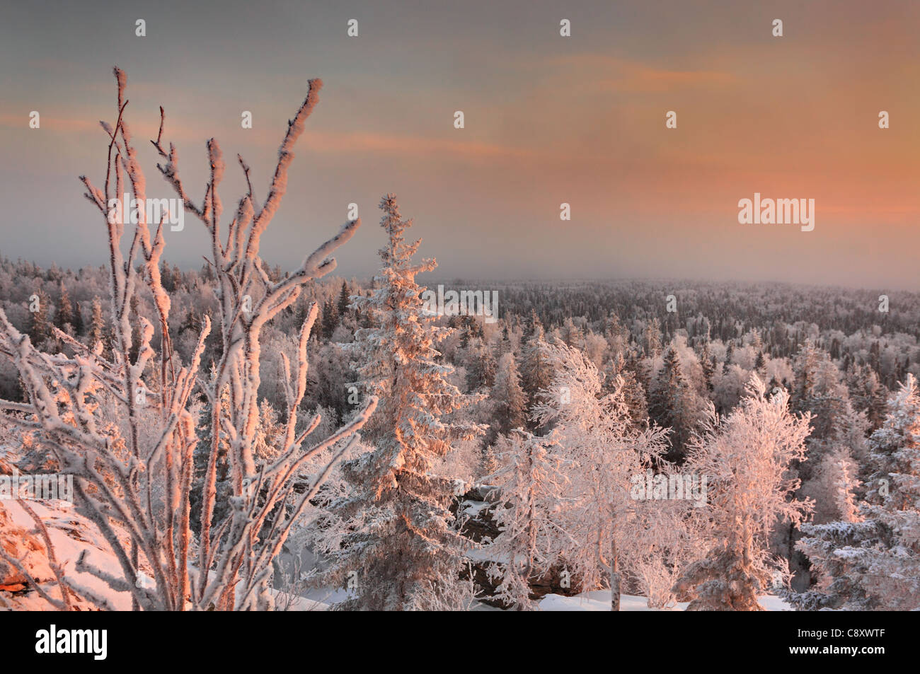 winter ural forest moutains Stock Photo - Alamy