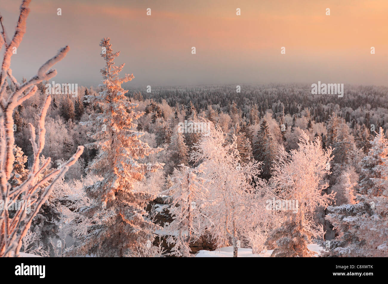 winter ural forest moutains Stock Photo - Alamy