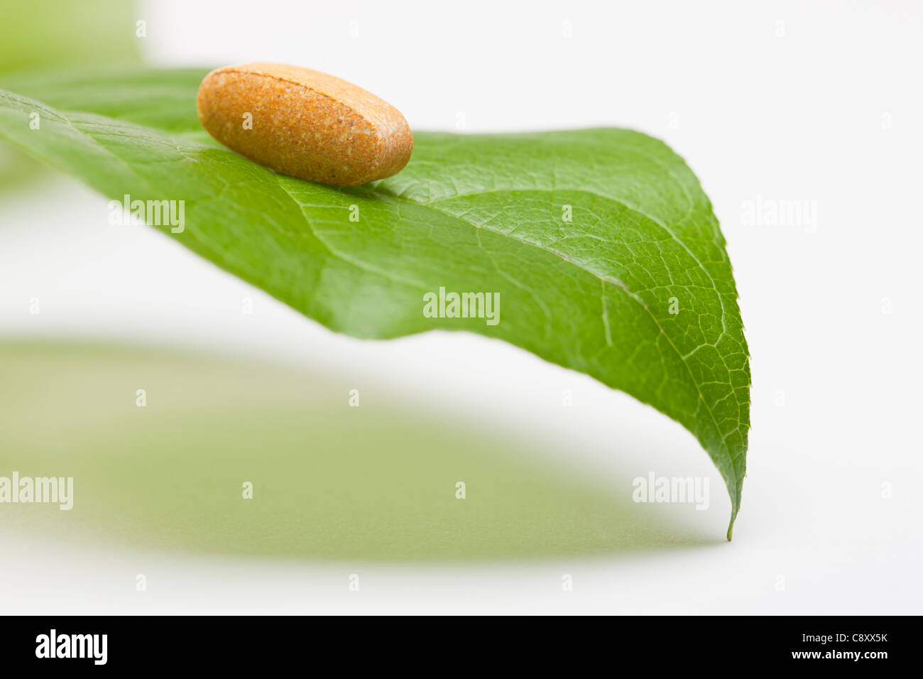 Pill on leaf, studio shot Stock Photo - Alamy