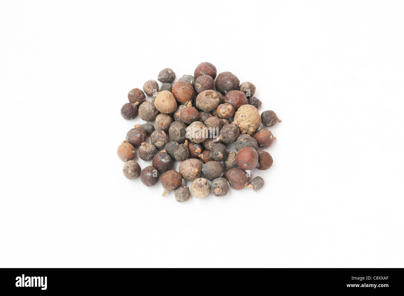 Juniper shelled seeds / Berries on white background Stock Photo - Alamy