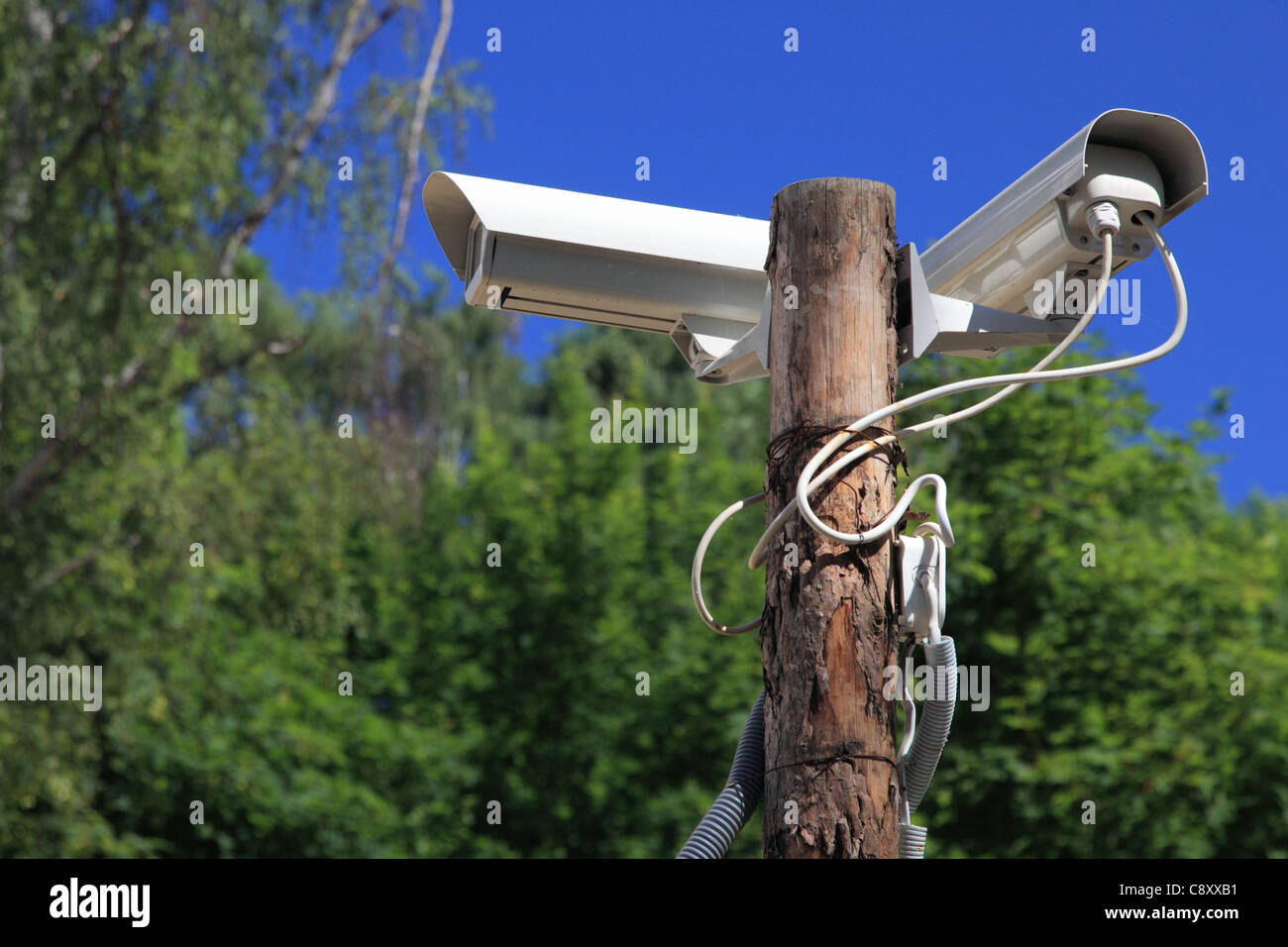 Security cameras outdoors nature, Secure area - industrial monitoring ...