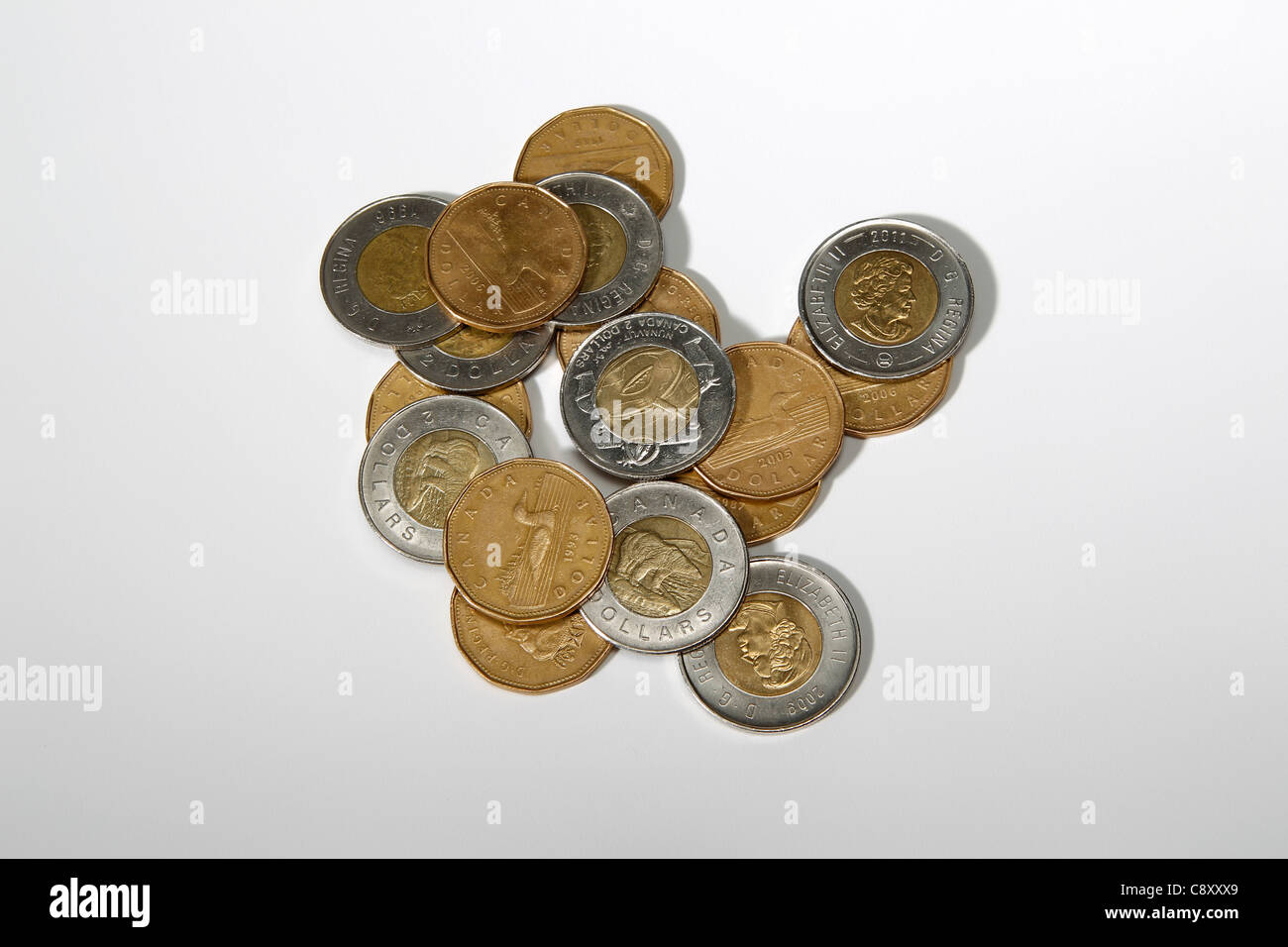 Canadian loonies hi-res stock photography and images - Alamy