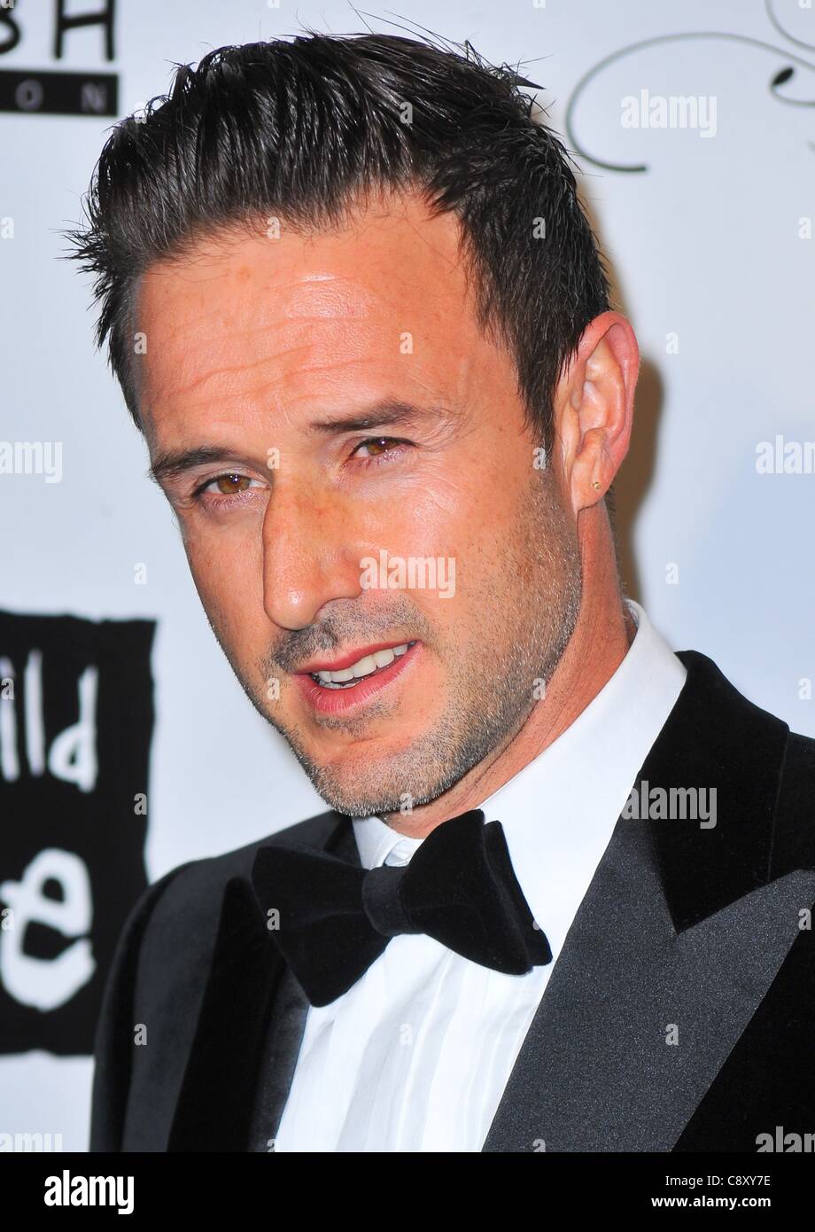 David Arquette at arrivals for Keep a Child Alive Eighth Annual Black ...