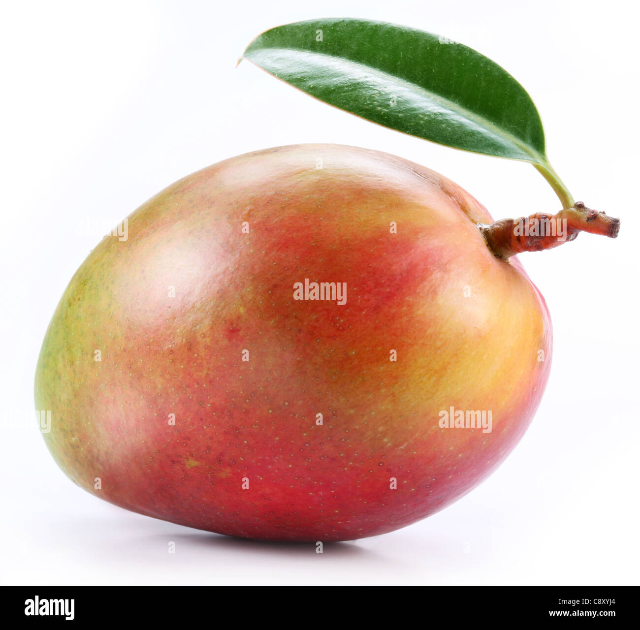 Mango leaf hi-res stock photography and images - Alamy