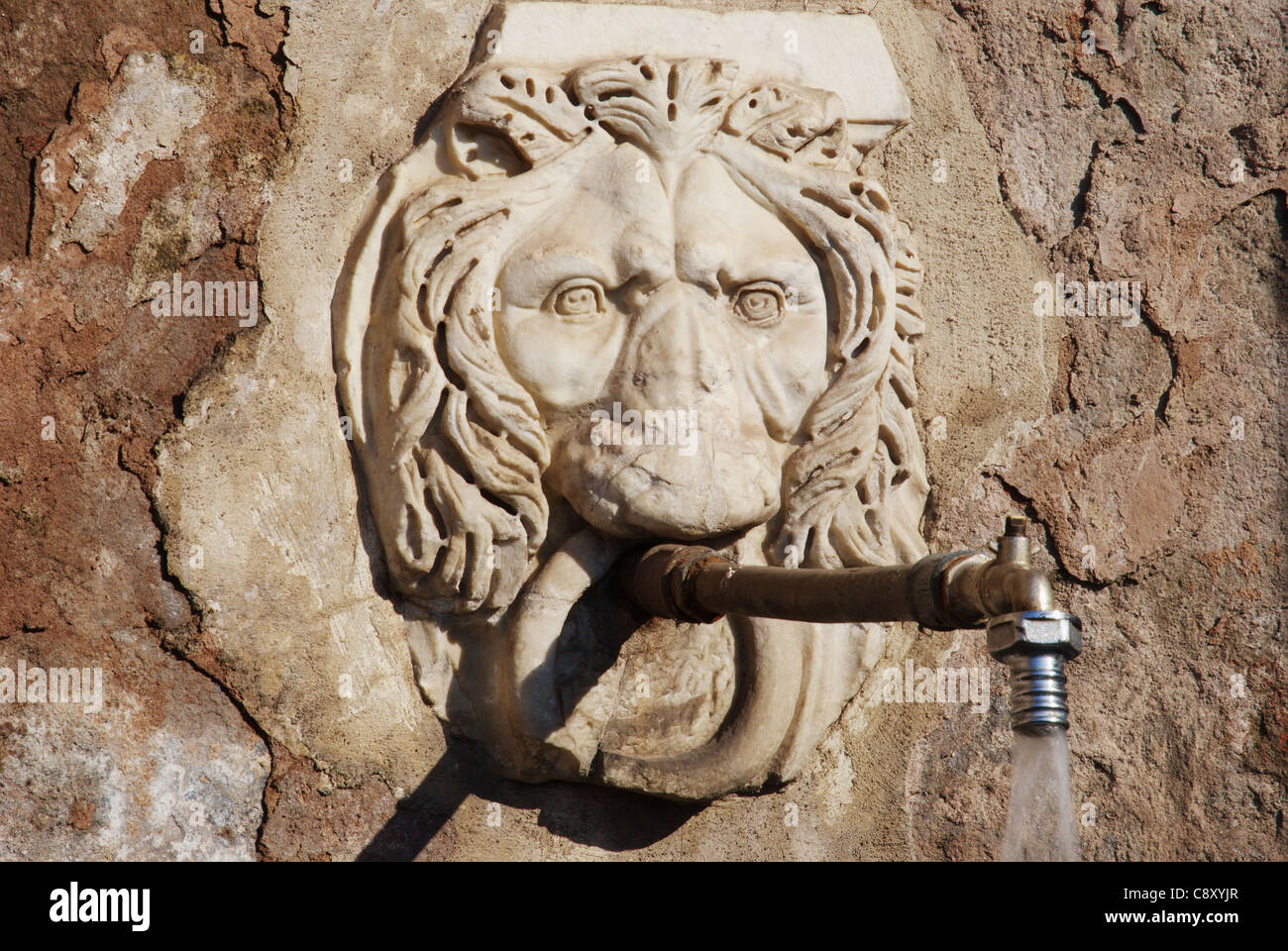 Fountain with lion hi-res stock photography and images - Alamy