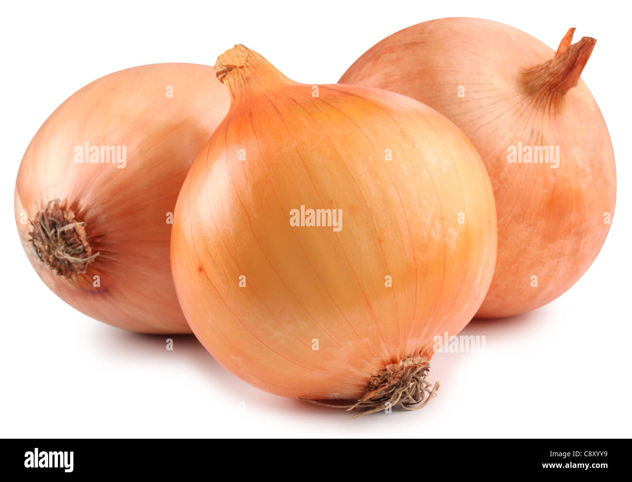 Three onions on a white background. File contains path to cut Stock ...