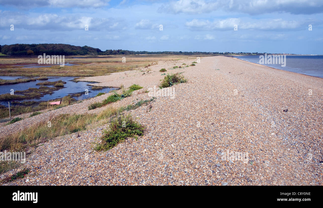 Freshwater Dingle marshes in lagoon formed by the beach bar between ...