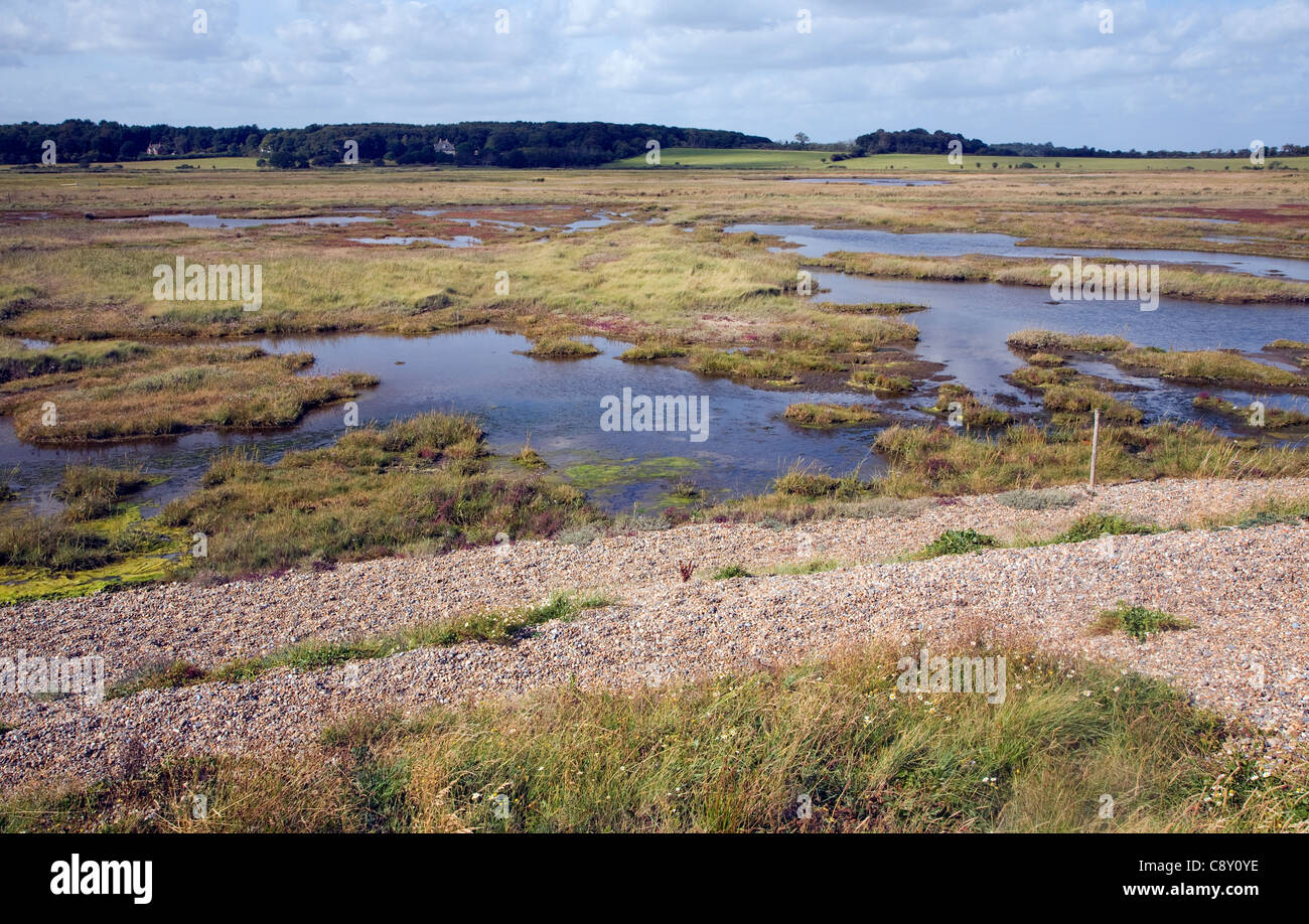 Freshwater Dingle marshes in lagoon formed by the beach bar between ...