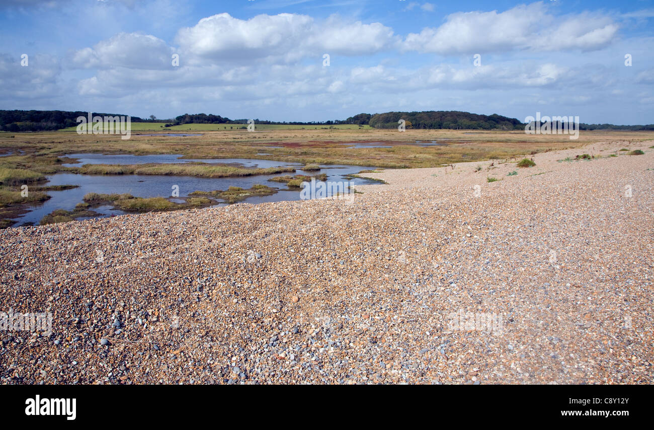 Freshwater Dingle marshes in lagoon formed by the beach bar between ...