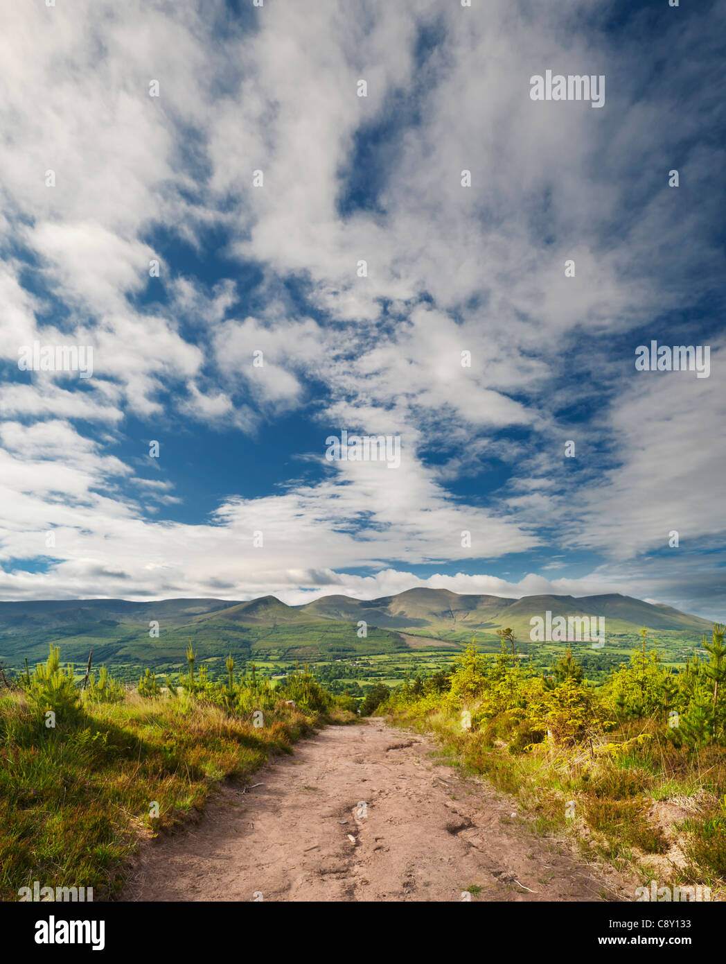 Old Red Sandstone Ireland High Resolution Stock Photography and Images ...