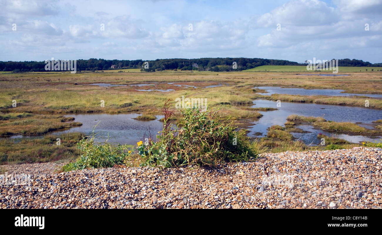 Freshwater Dingle marshes in lagoon formed by the beach bar between ...