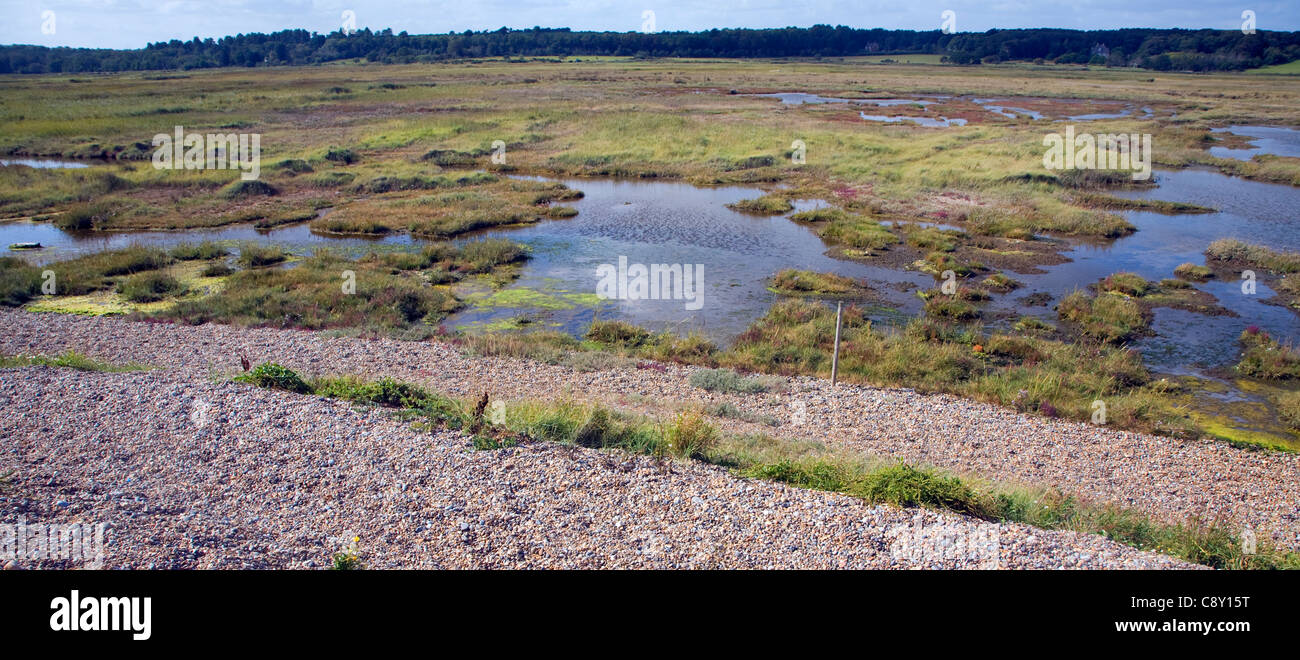 Freshwater Dingle marshes in lagoon formed by the beach bar between ...