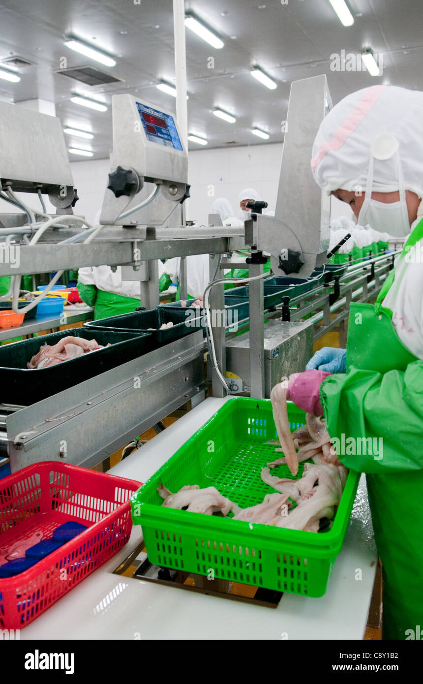 Frozen food production line workers hi-res stock photography and images ...