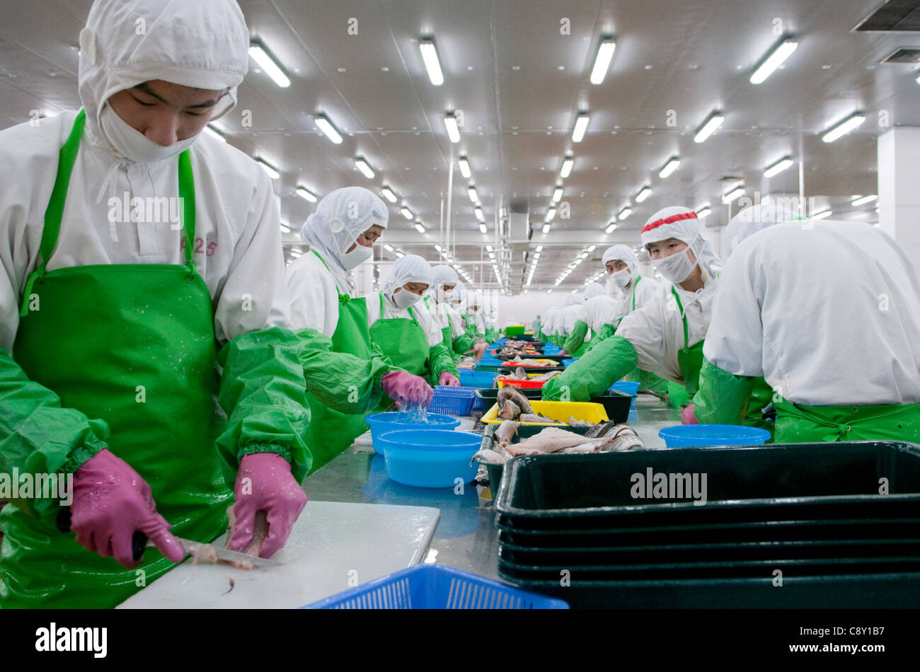 Seafood factory production line packing hi-res stock photography and ...