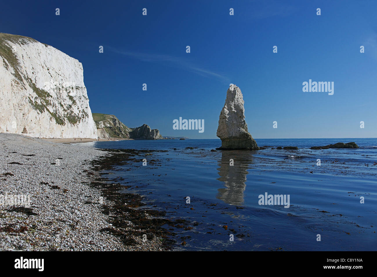 Butter Rock and the chalk cliffs of Swyre Head on the World Heritage ...