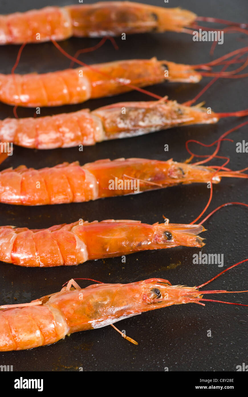 King prawns being cooked on a griddle Stock Photo - Alamy