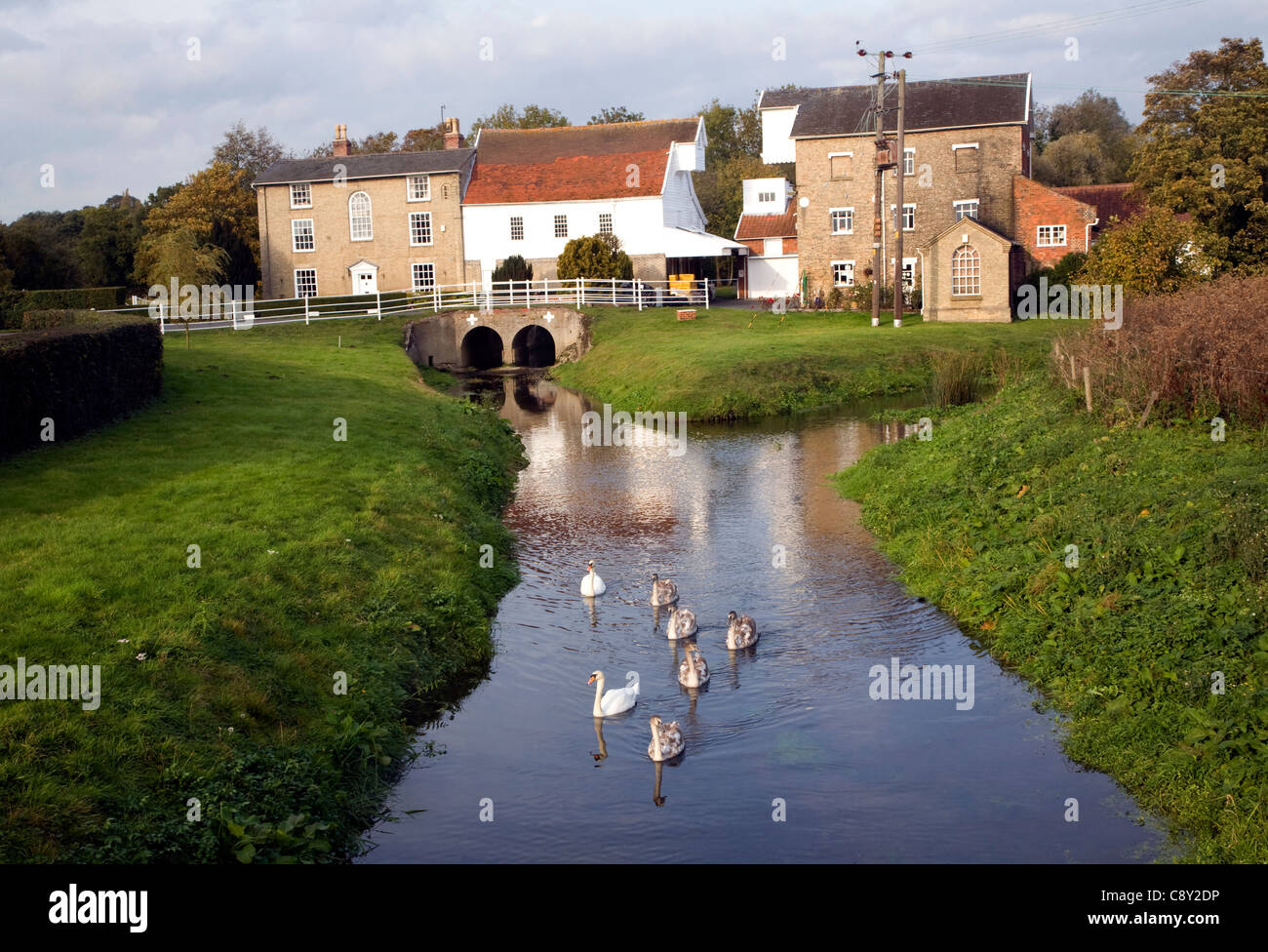 Swans on River Deben and Rackhams water mill, Wickham Market, Suffolk ...
